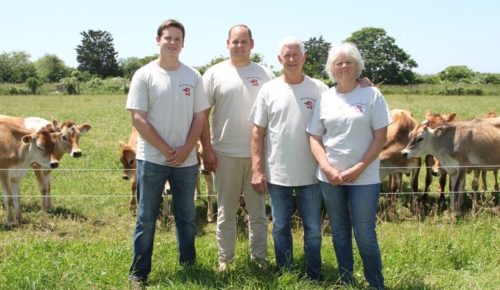 30 Cattle Slogans & Sayings - Custom Ink